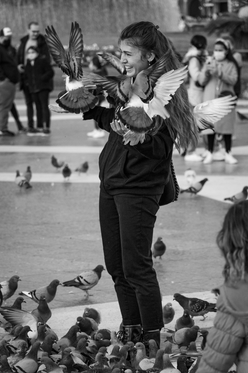 Doves | tour-foto.de